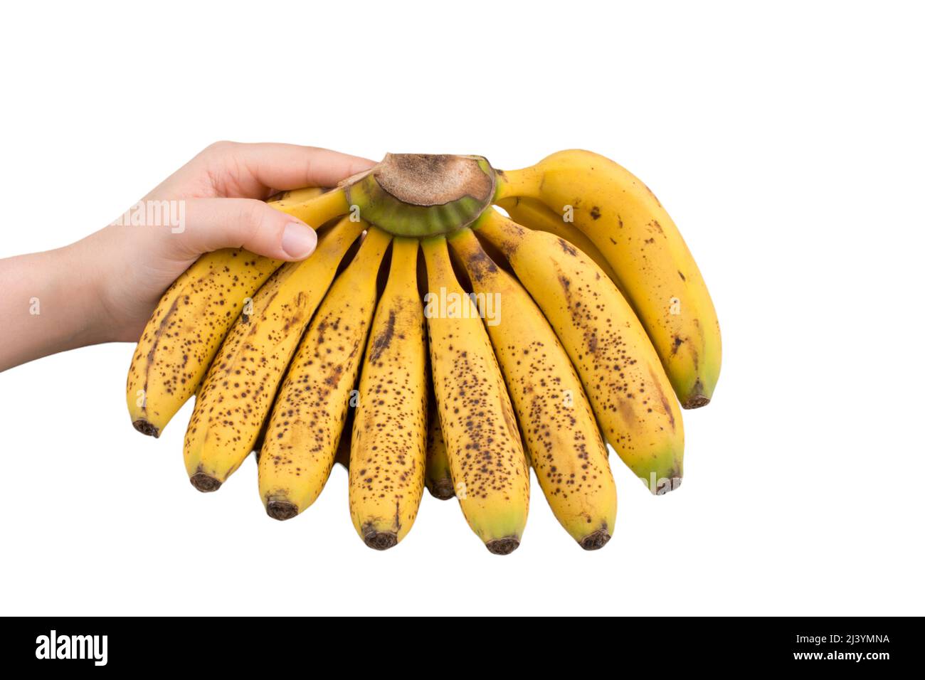 banana fruit in hand, tropical fruit pattern, banana isolated Stock ...
