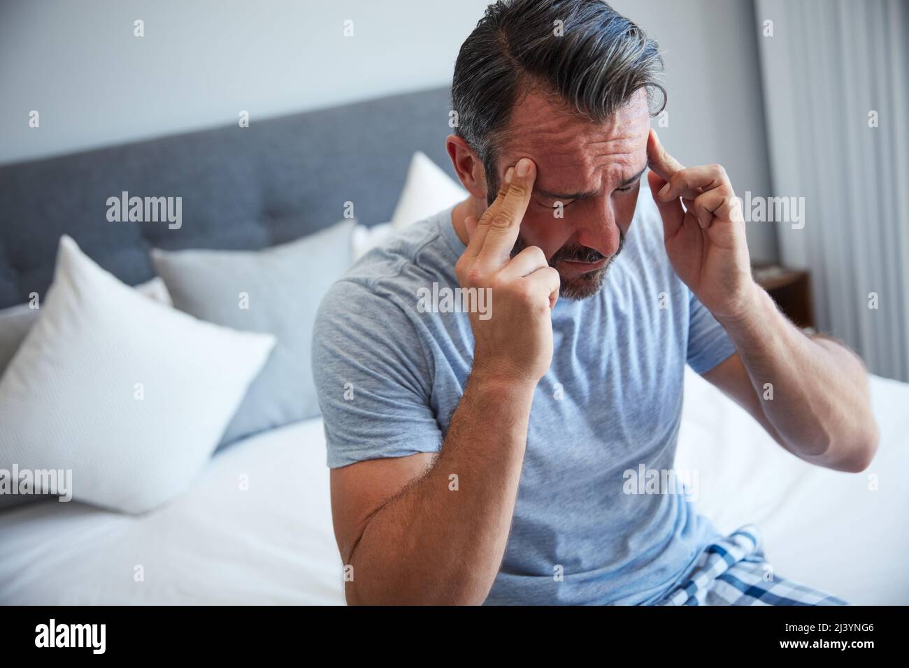 Mature bear hi-res stock photography and images - Alamy