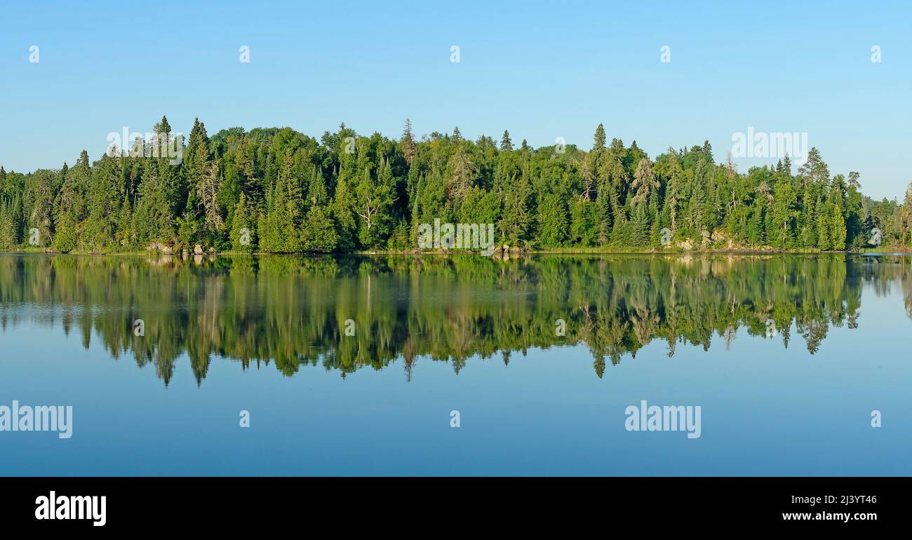 Morning Reflections of the Pines in the North Woods on Saganagons Lake ...