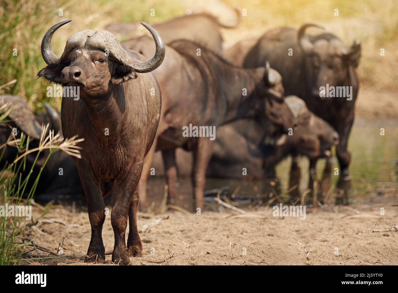 Youve always gotta have a lookout. Full length shot of a group of ...