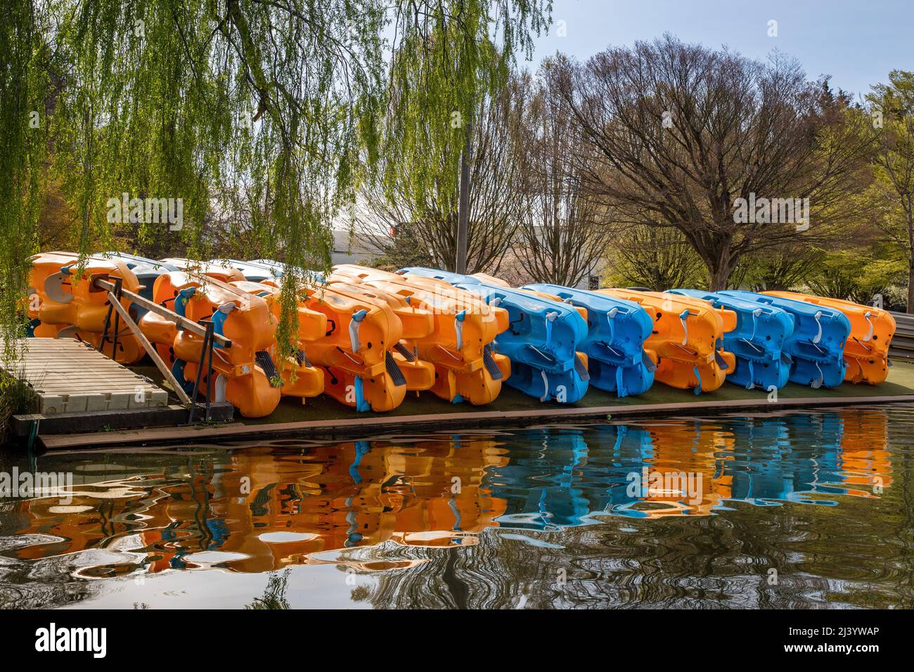 Rental Boats Line the dock at Seattle's Green Lake Park on a sunny ...