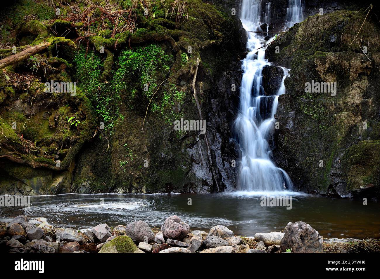 Finlaystone Country Park Stock Photo - Alamy