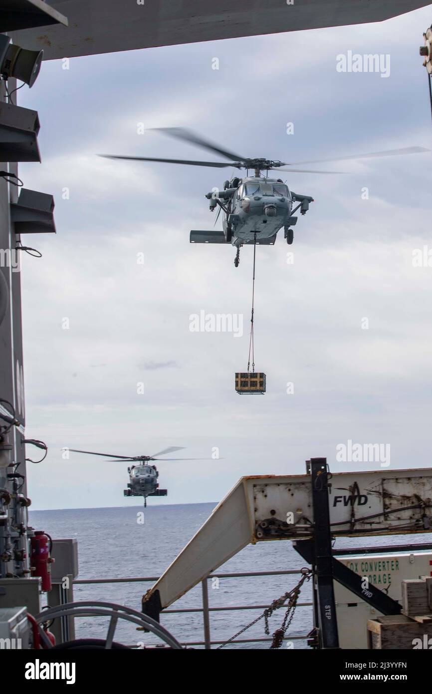 Two MH-60S Nighthawks, attached to the "Tridents" of Helicopter Sea ...