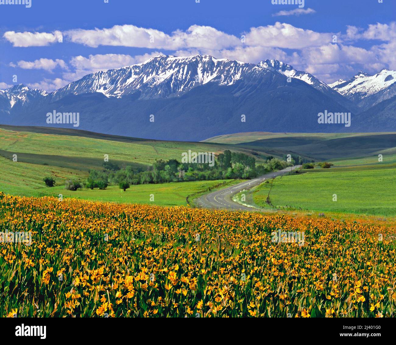 Wallowa Valley, Oregon Stock Photo - Alamy