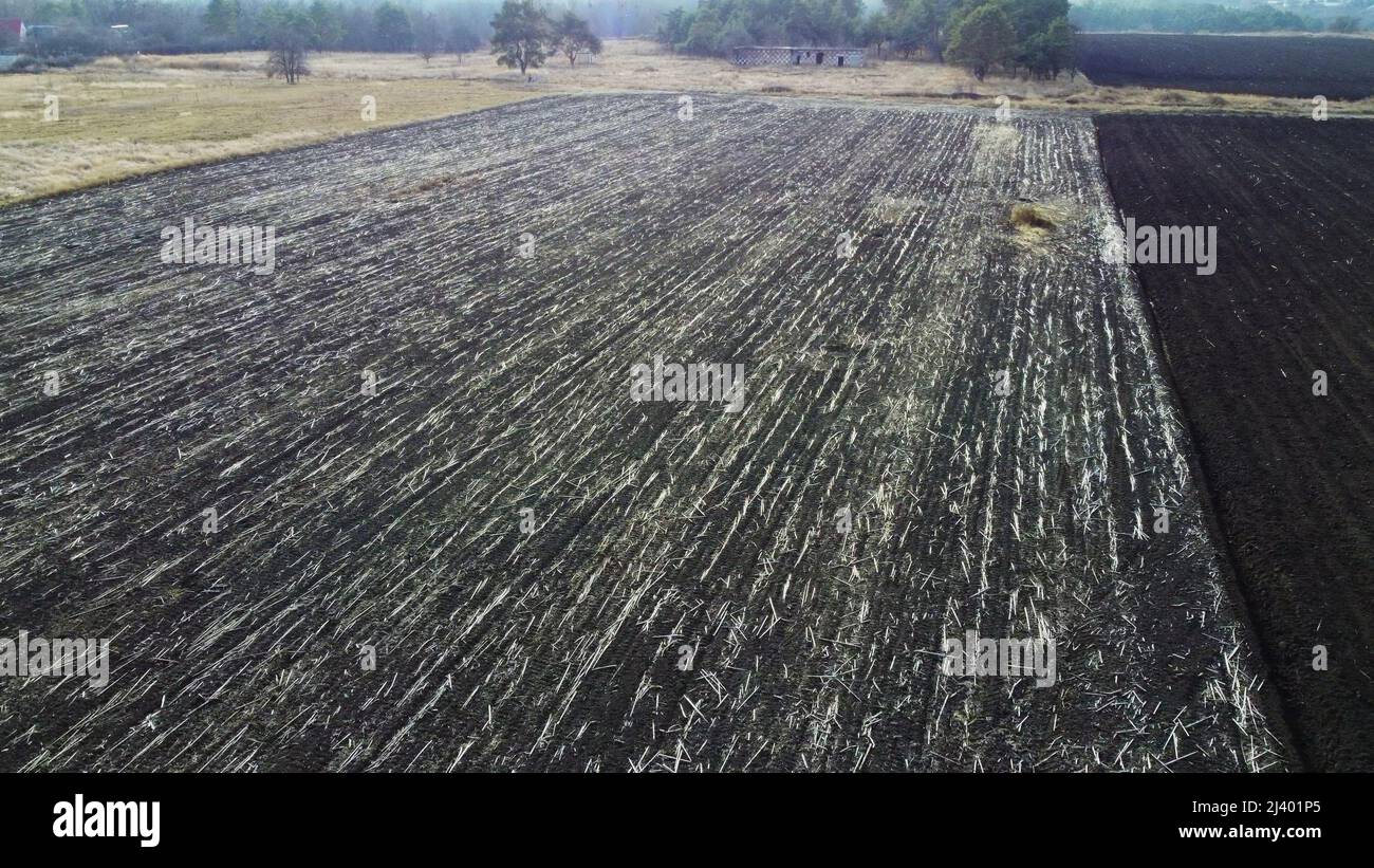 Agriculturalist praedial hi-res stock photography and images - Alamy