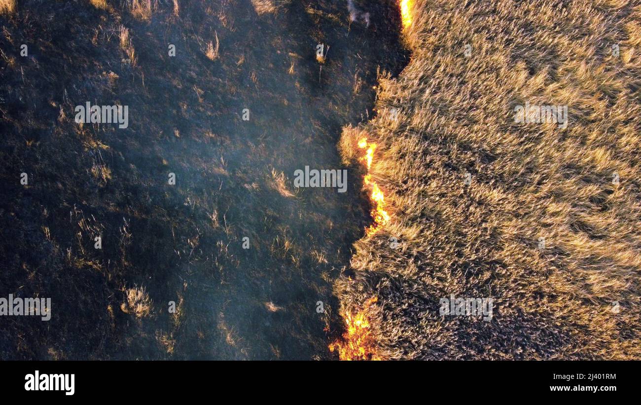 Aerial Drone View Over Burning dry grass and smoke in field. Flame and ...