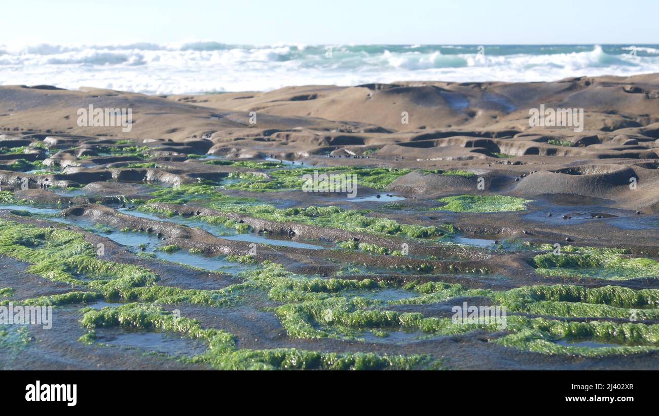 Eroded rock formation, tide pool in La Jolla, California coast, USA ...