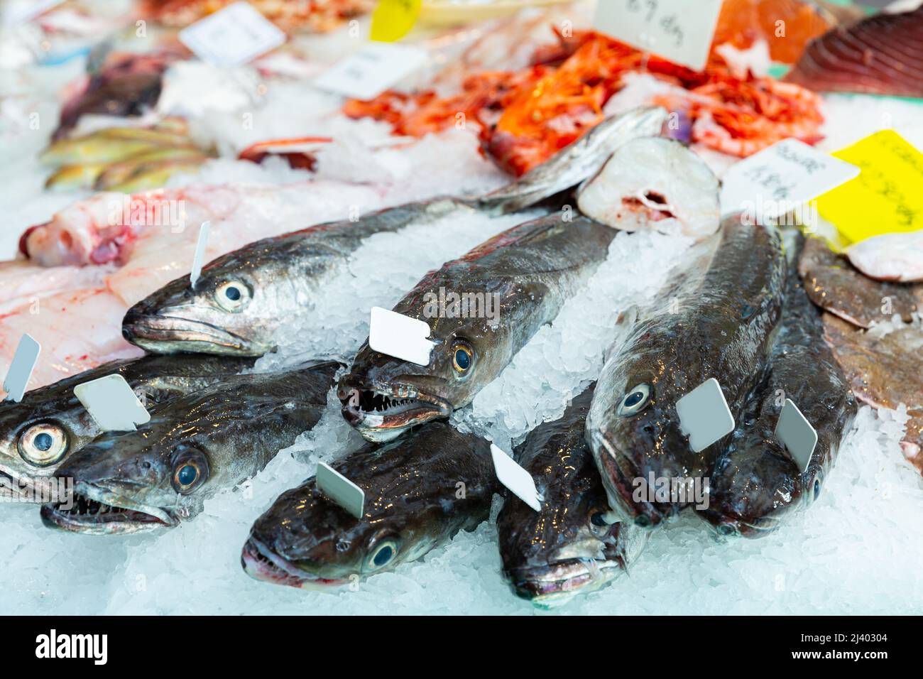 Assortment raw fish on display hi-res stock photography and images - Alamy