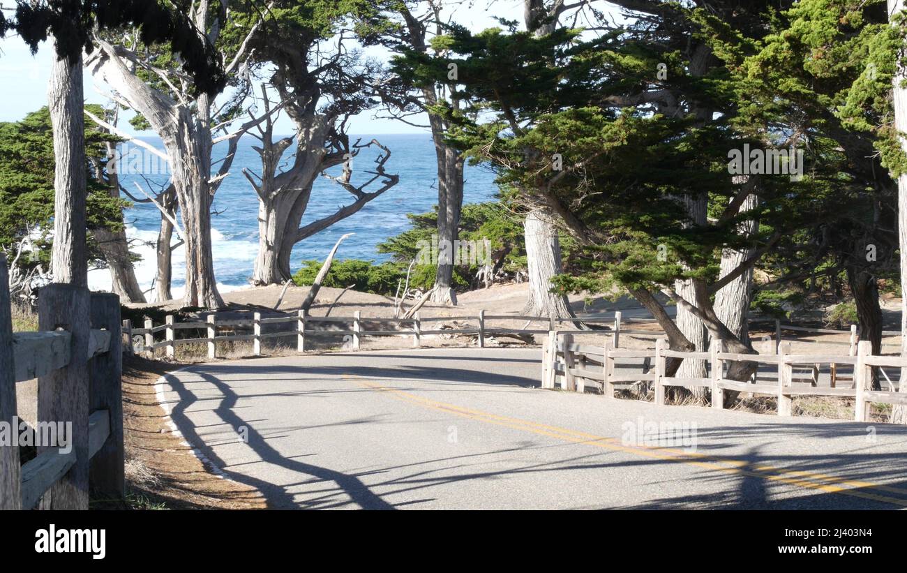 17-mile drive scenic road, Monterey, California, USA. Road trip thru ...