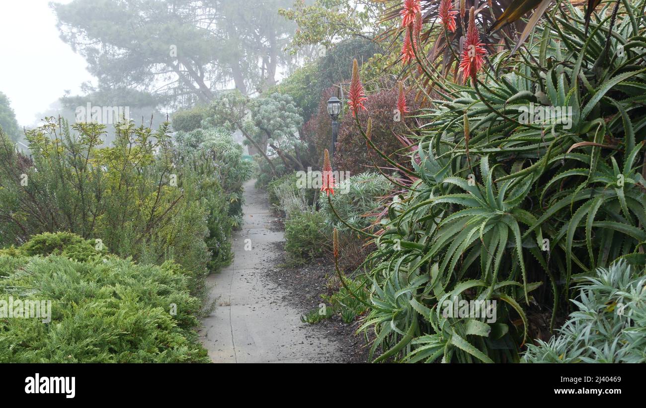 Pedestrian pathway in suburban neighborhood hi-res stock photography ...
