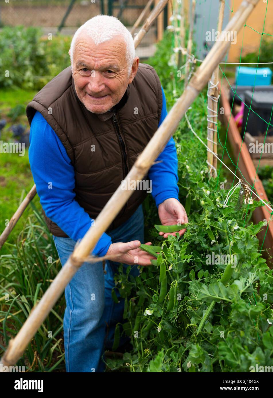 Inspecting care home for the elderly hi-res stock photography and ...