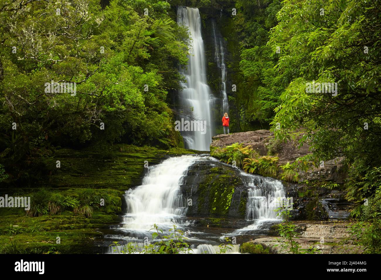 McLean Falls, Catlins, South Island, New Zealand Stock Photo - Alamy