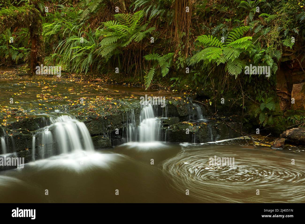 Wet small falls hi-res stock photography and images - Alamy