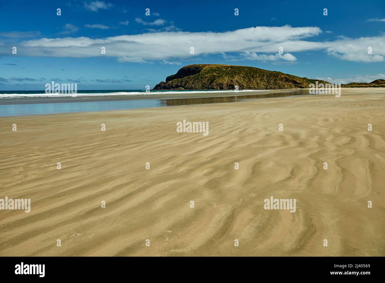 Beach at Cannibal Bay, Catlins, South Island, New Zealand Stock Photo ...