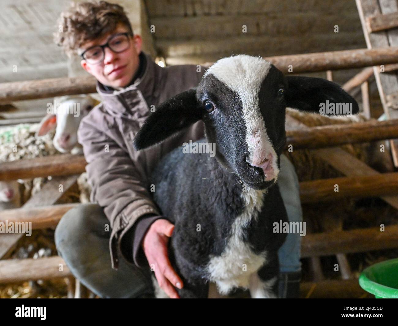 07 April 2022, Brandenburg, Müncheberg: Sandra Weihmann, shepherd at ...