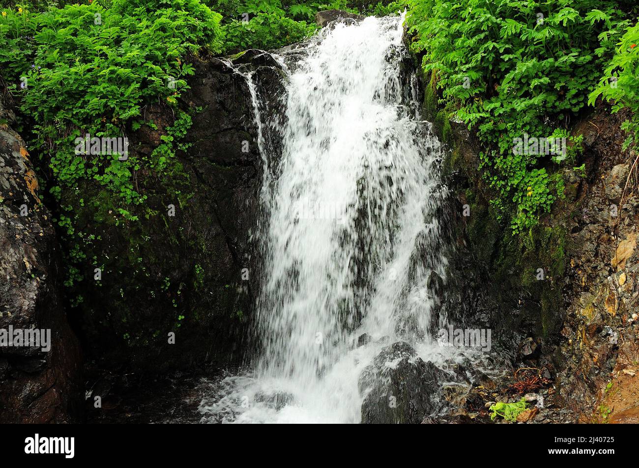 The river stream flows like a stormy waterfall from the rocky slope of ...