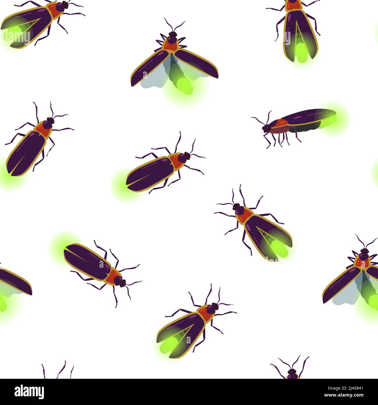 Lightning Bug Illustration