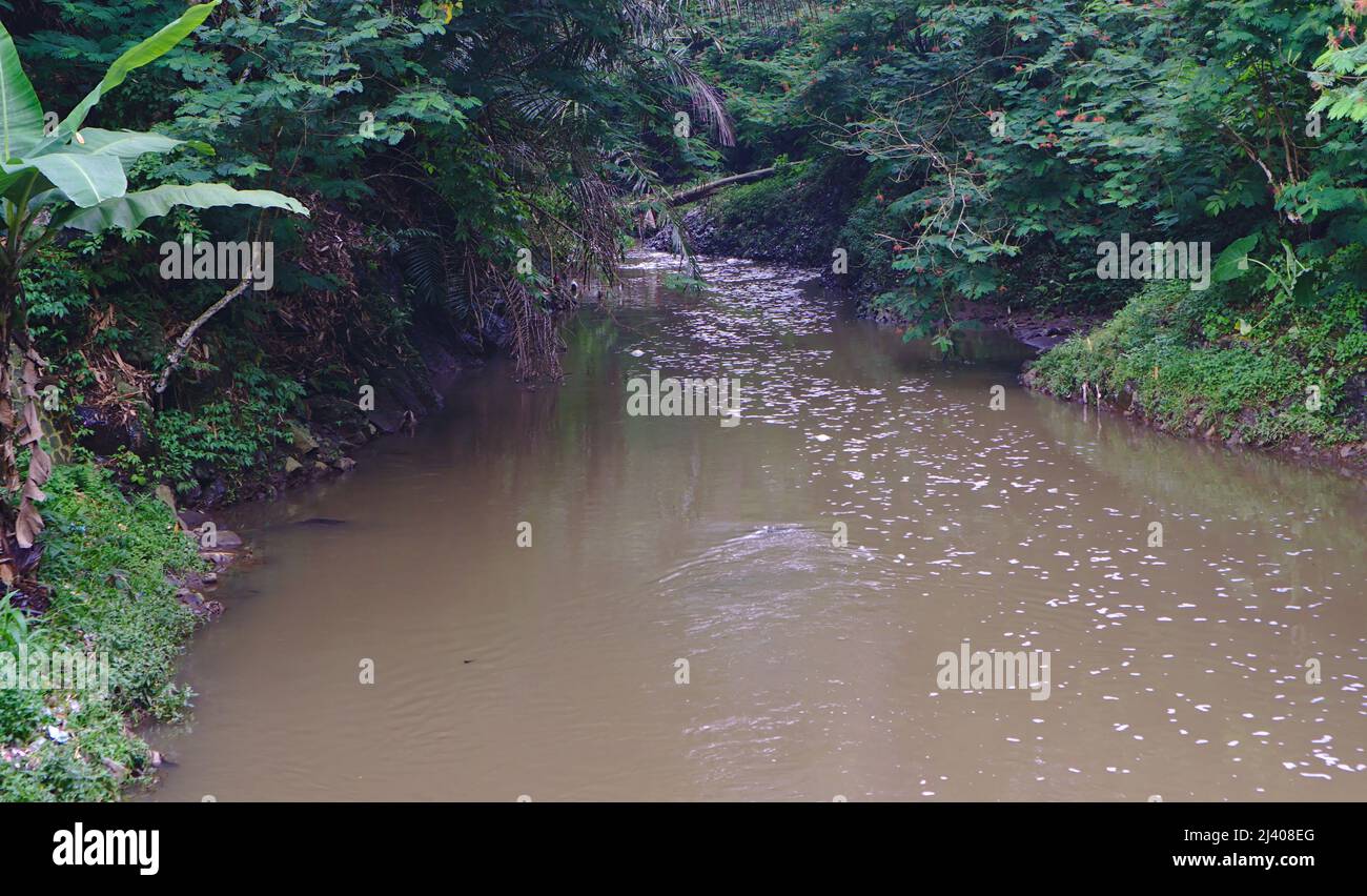River with dirty water and trees on the sides Stock Photo - Alamy