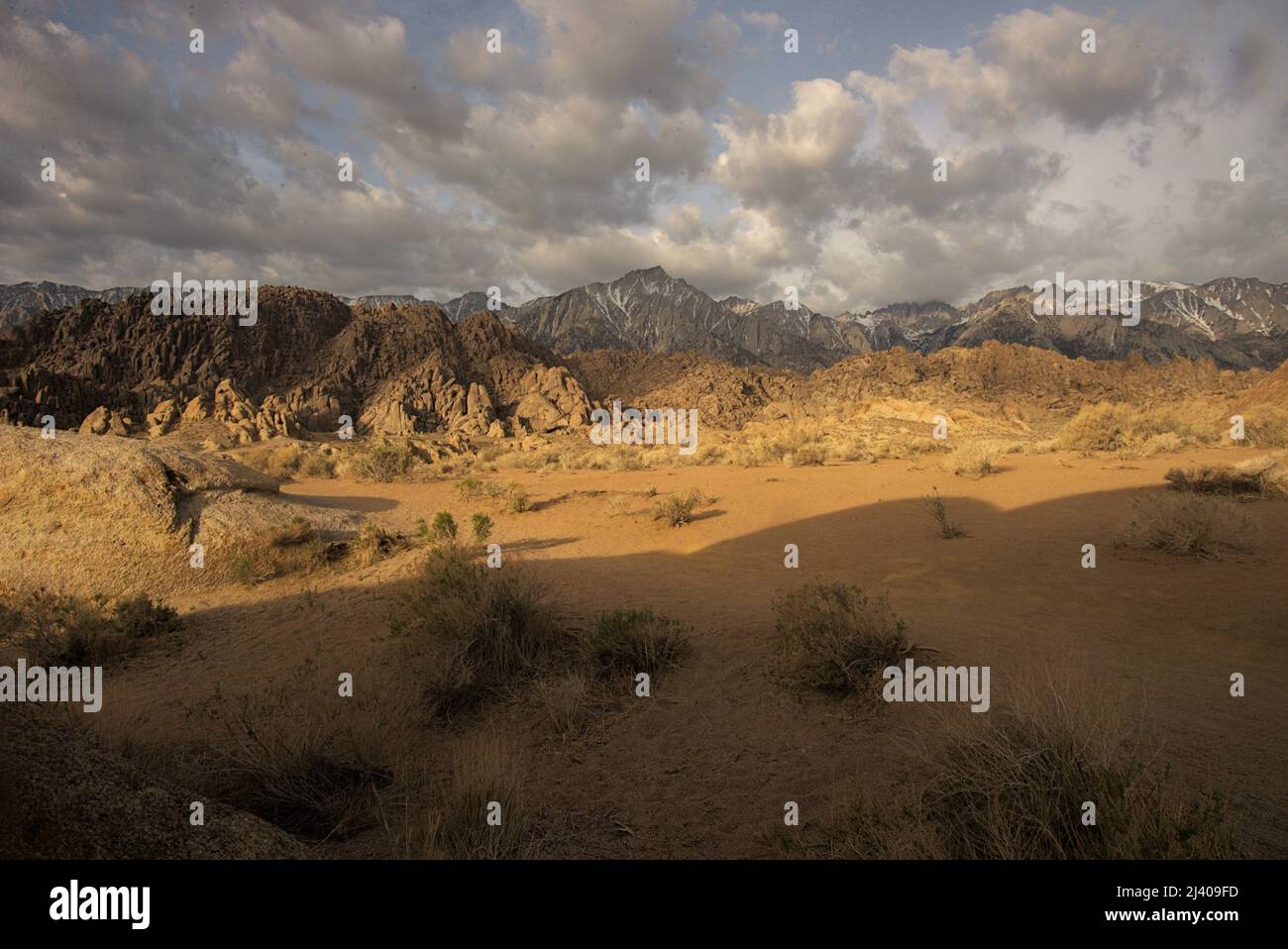 Landscape tale of 2 beauties, magnificent snow capped Eastern Sierra ...