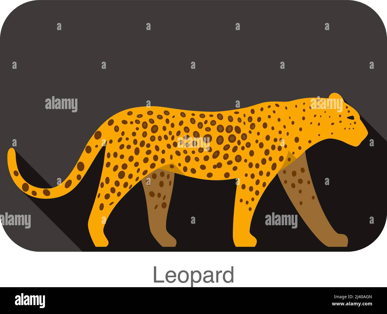 Leopard walking side flat 3D icon design Stock Vector Image & Art - Alamy