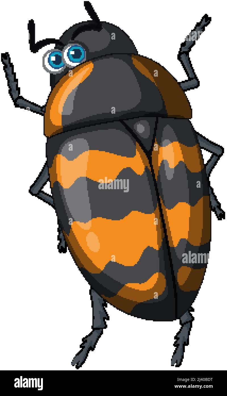 A beetle cartoon character isolated illustration Stock Vector Image ...