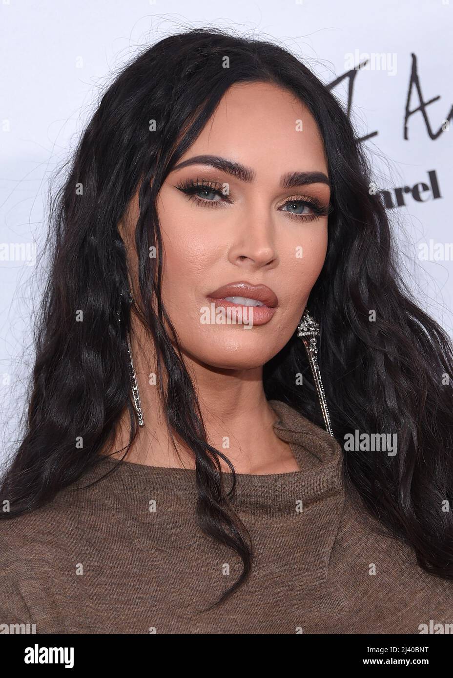 Megan Fox Eyebrows 2022