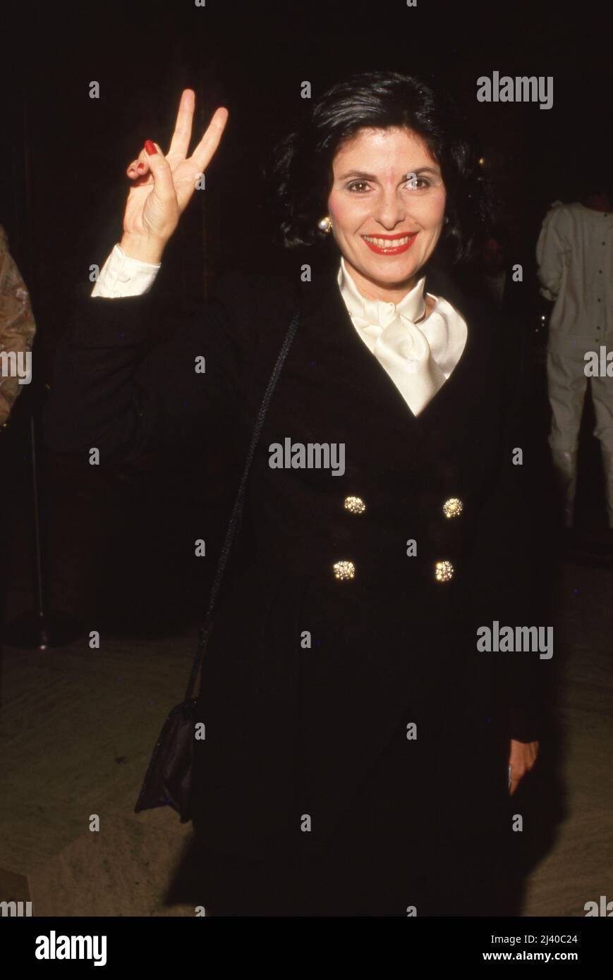 Gloria Allred Circa 1990's Credit: Ralph Dominguez/MediaPunch Stock ...
