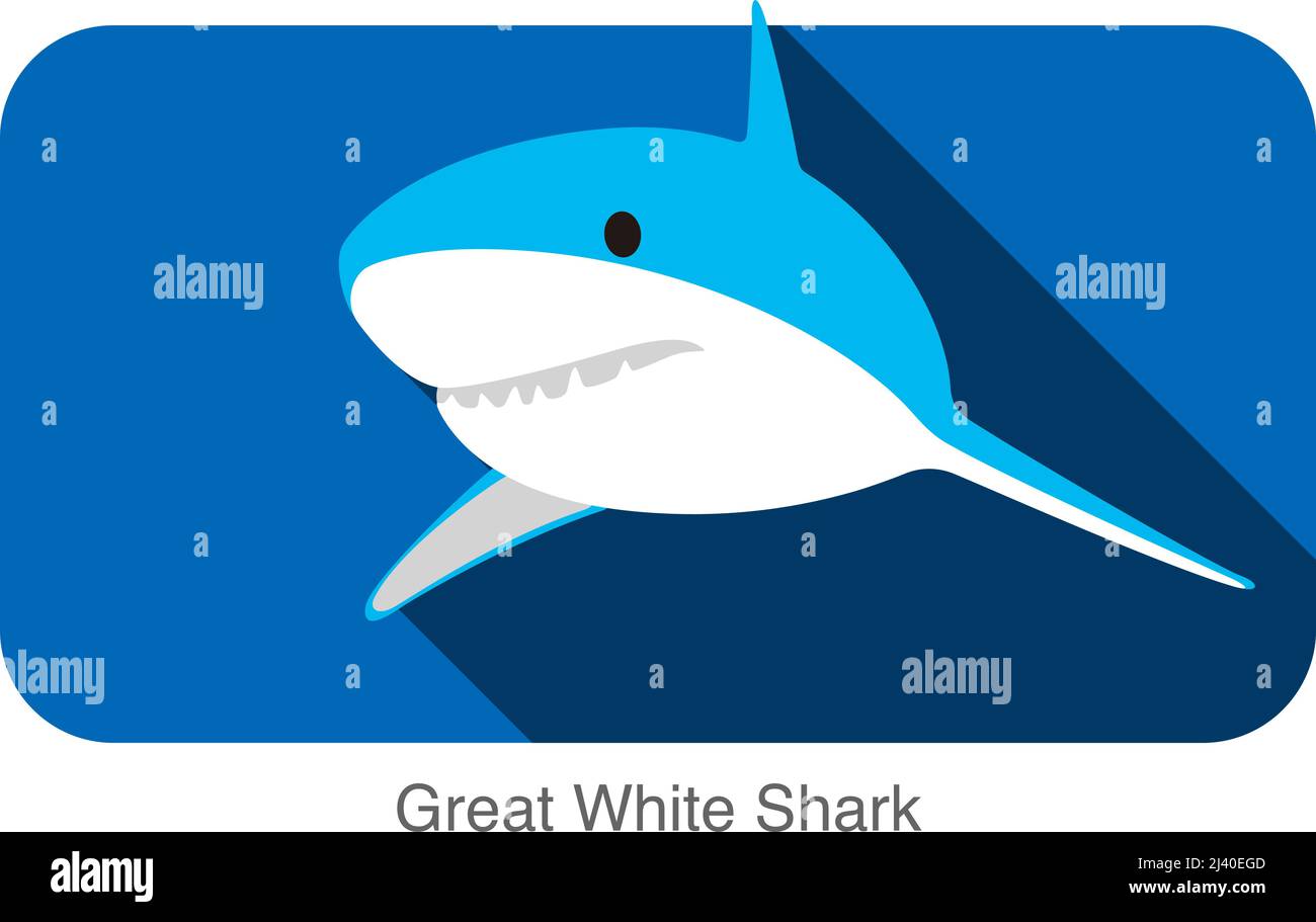 Shark swimming closeup Stock Vector Images - Alamy
