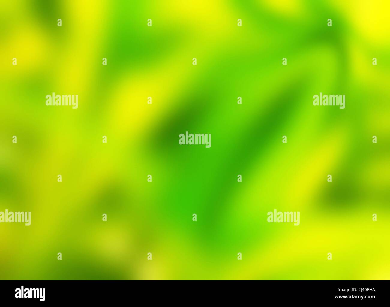 Green fuzzy leaves hi-res stock photography and images - Alamy