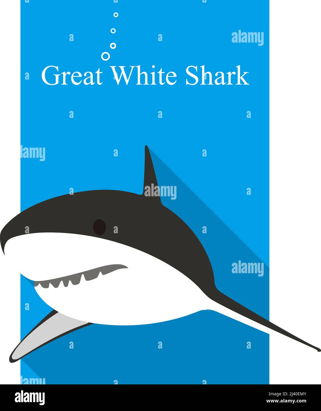 Shark swimming closeup Stock Vector Images - Alamy