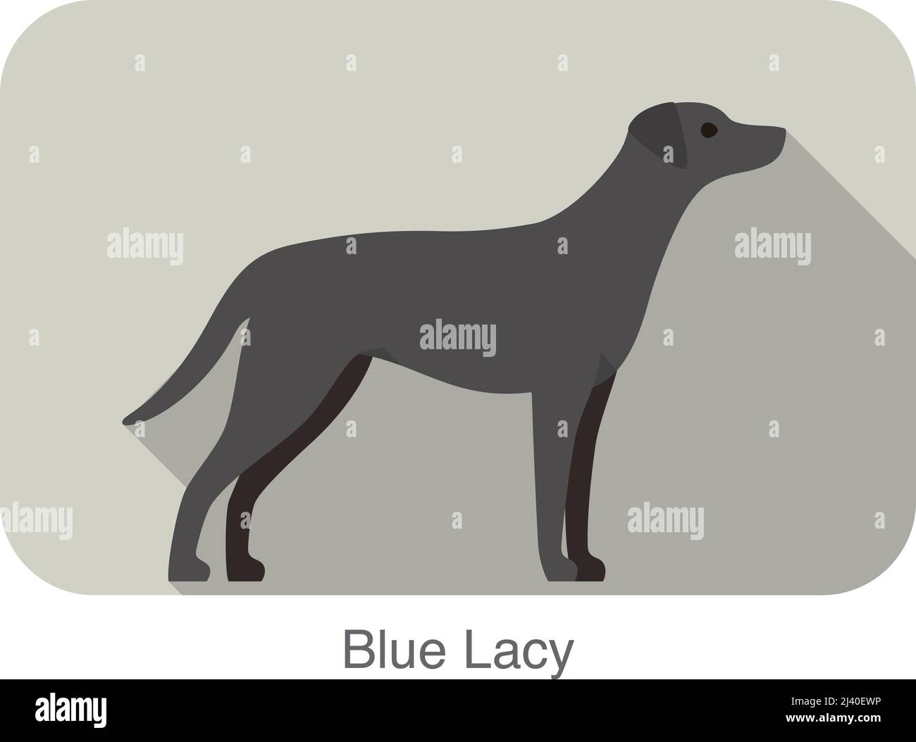 Blue lacy breed dog standing on the ground, side, dog cartoon image ...