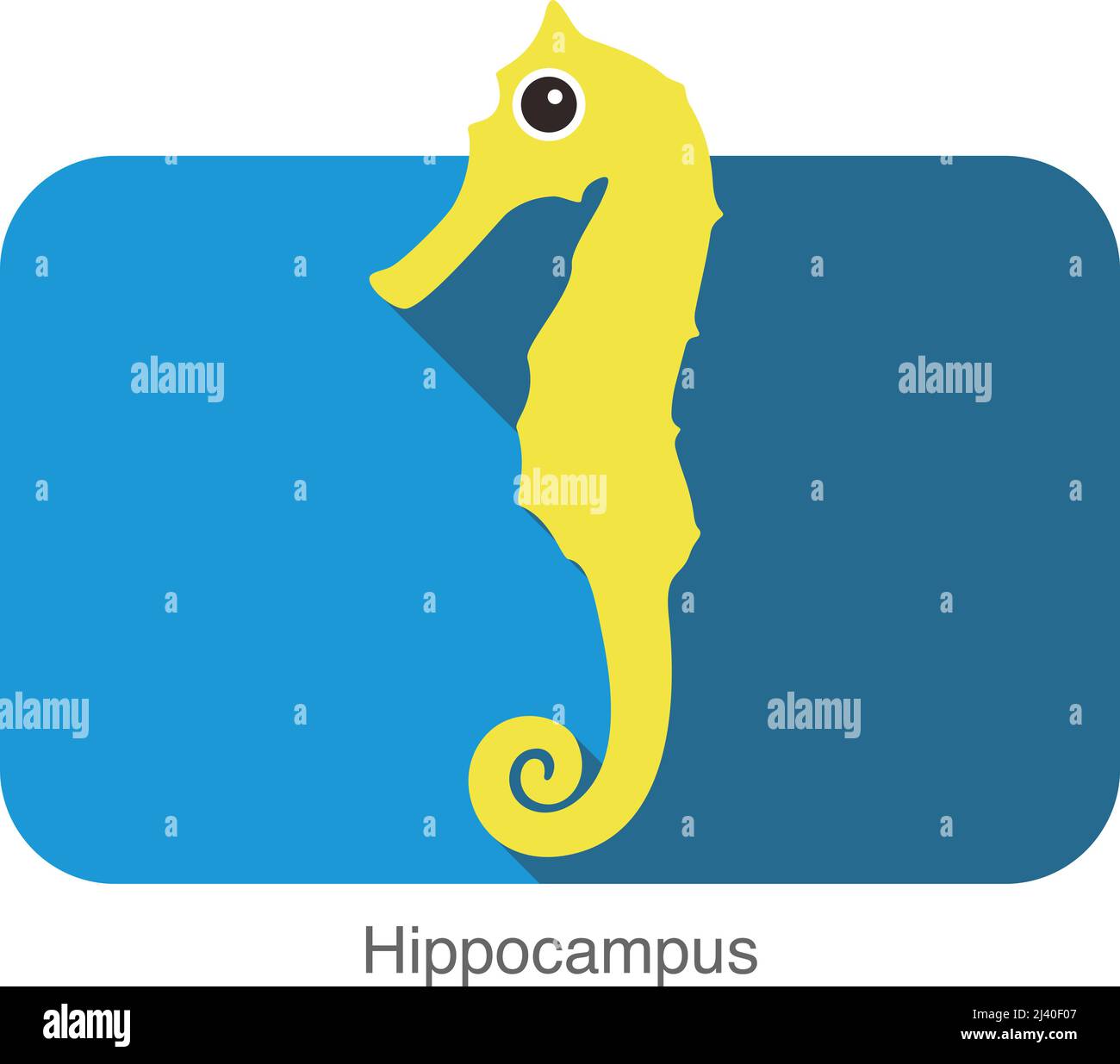 The hippocampus Cut Out Stock Images & Pictures - Alamy