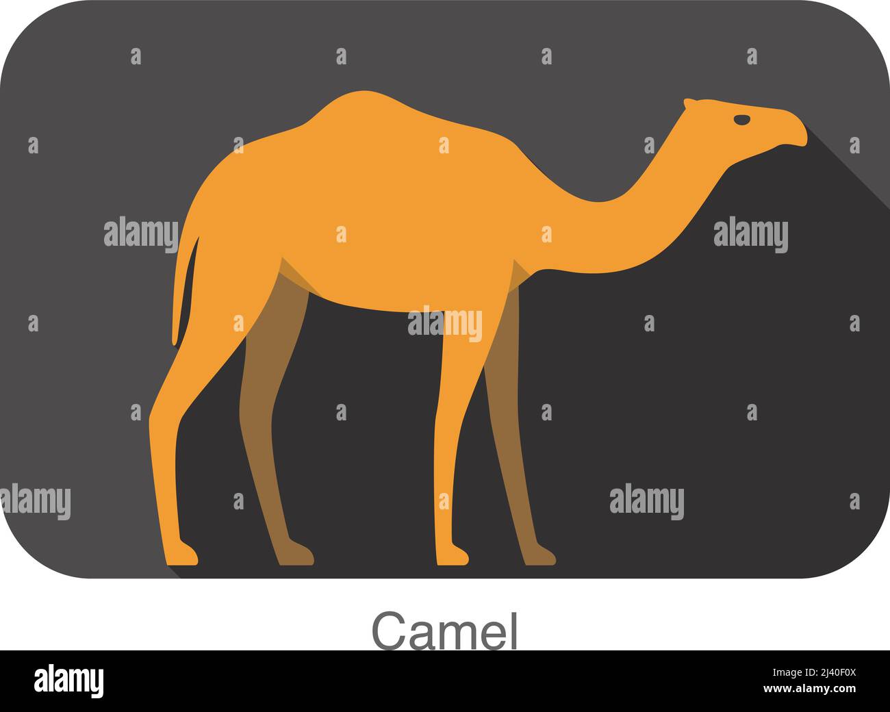 Single Camel walking on the ground, A chair on the camel's back, modern ...