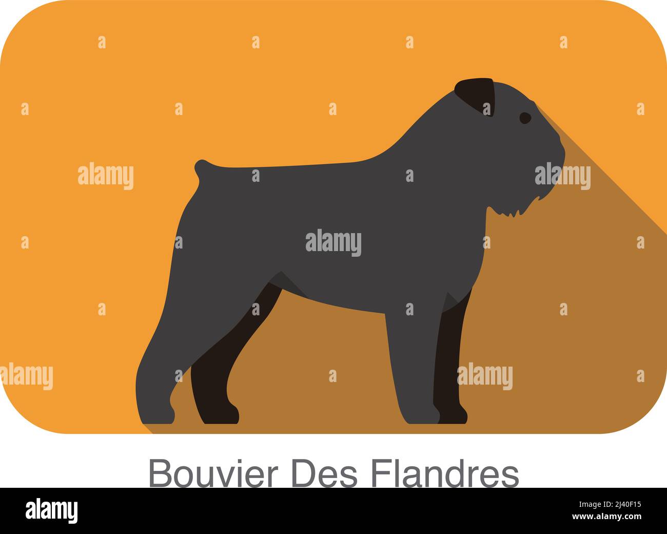 Bouvier Des Flandres dog breed flat icon design Stock Vector Image ...