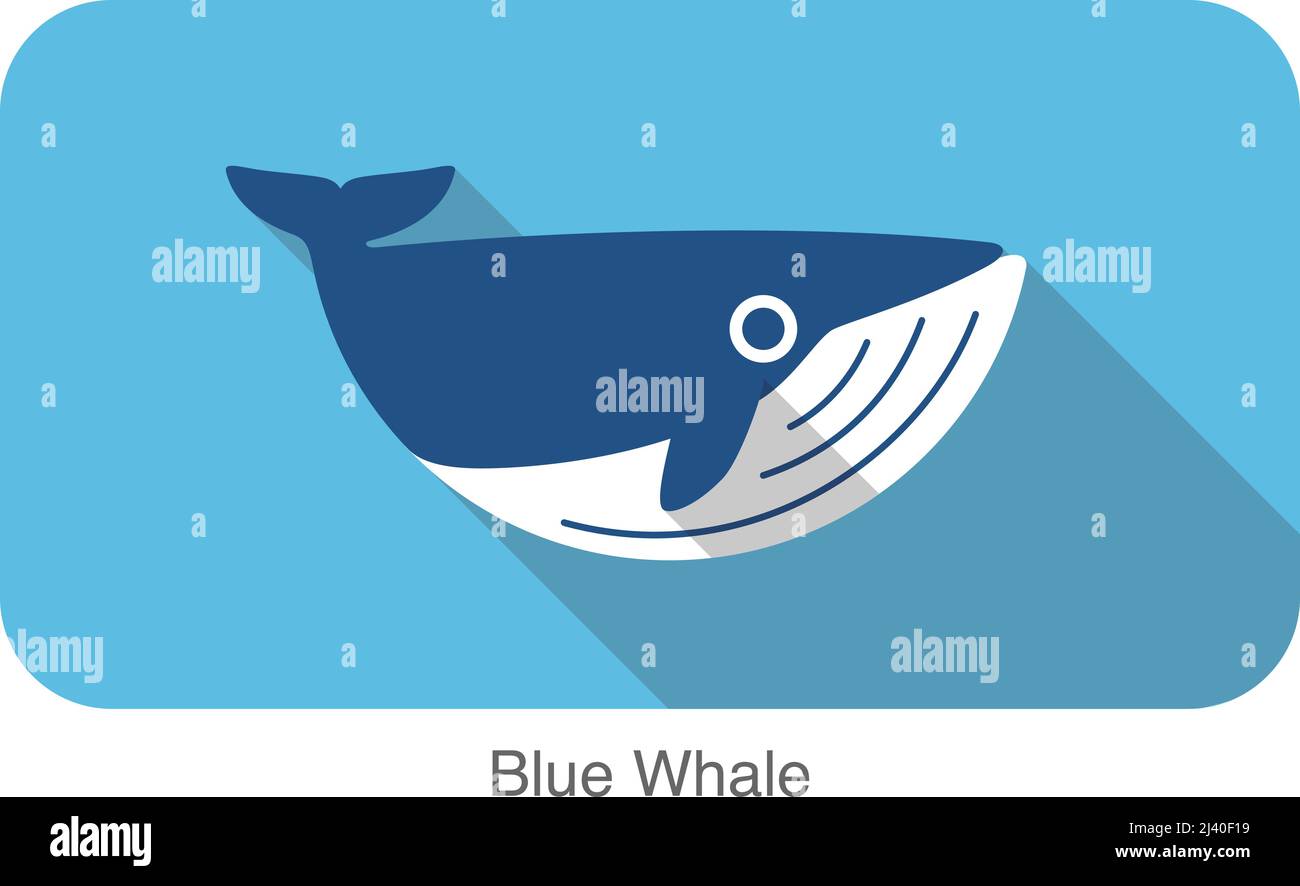 Blue Whale swimming in the sea flat icon design Stock Vector Image ...