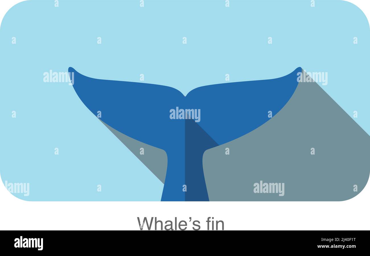 whale fin flat icon design Stock Vector Image & Art - Alamy
