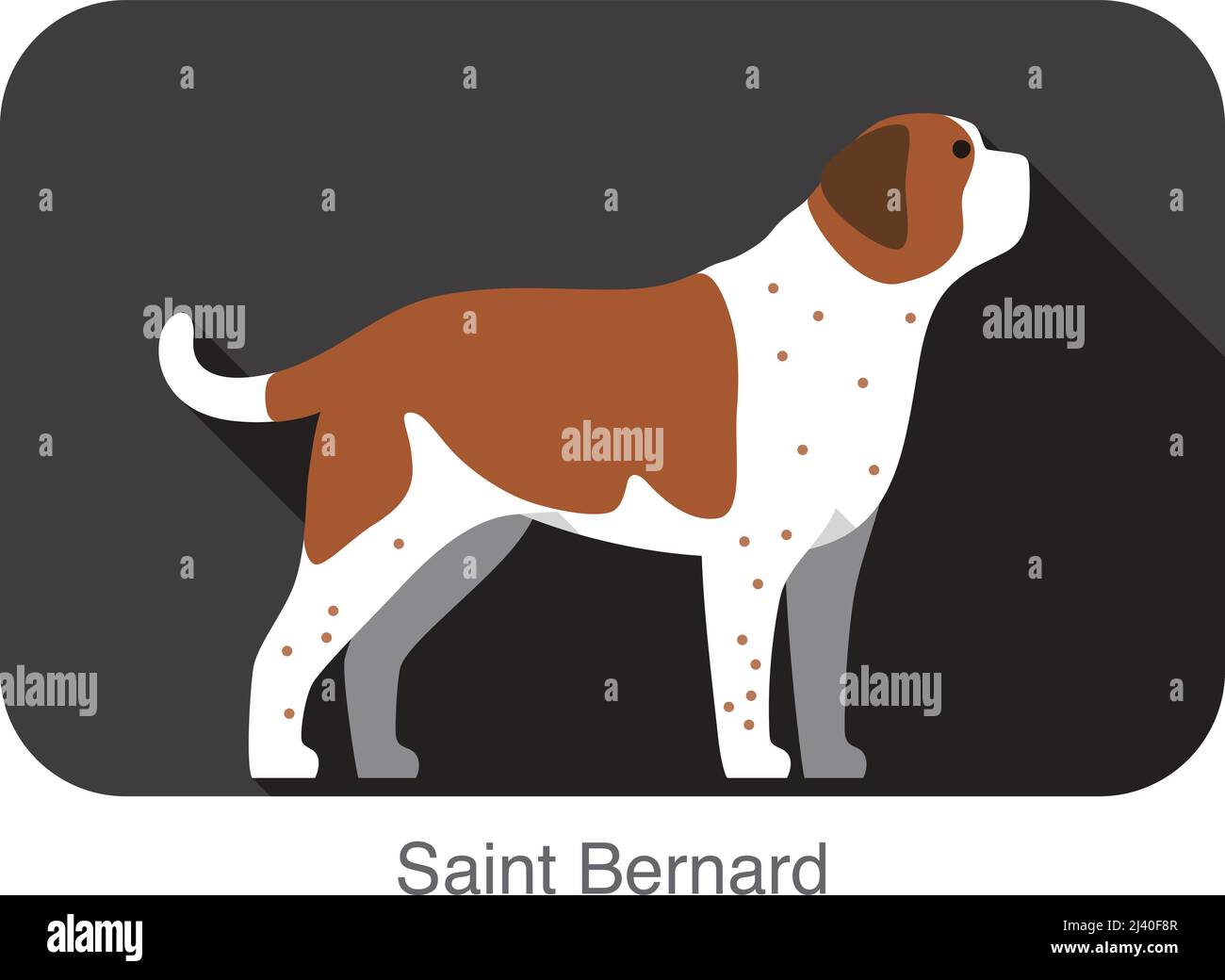 Bernard walking Stock Vector Images - Alamy
