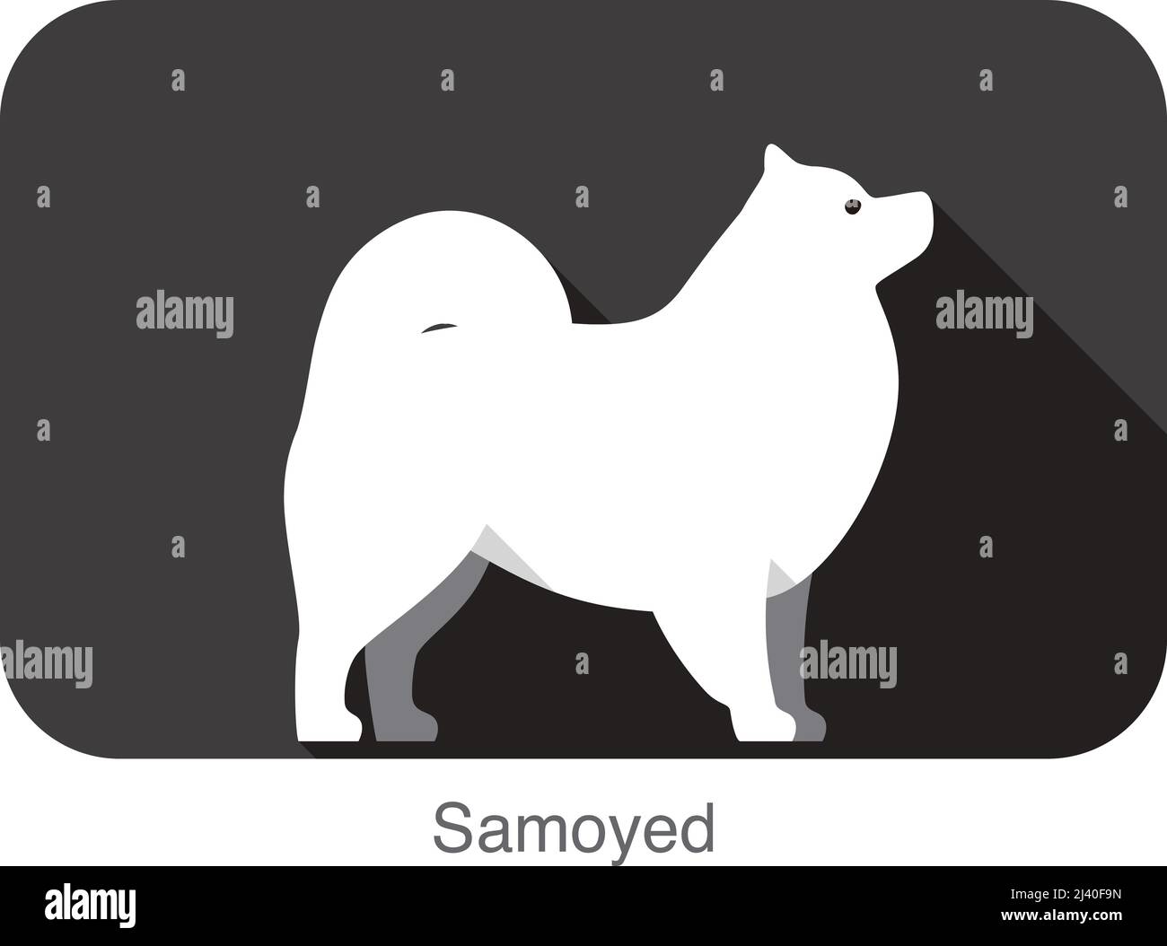 Samoyed dog breed flat icon design, vector illustration Stock Vector ...