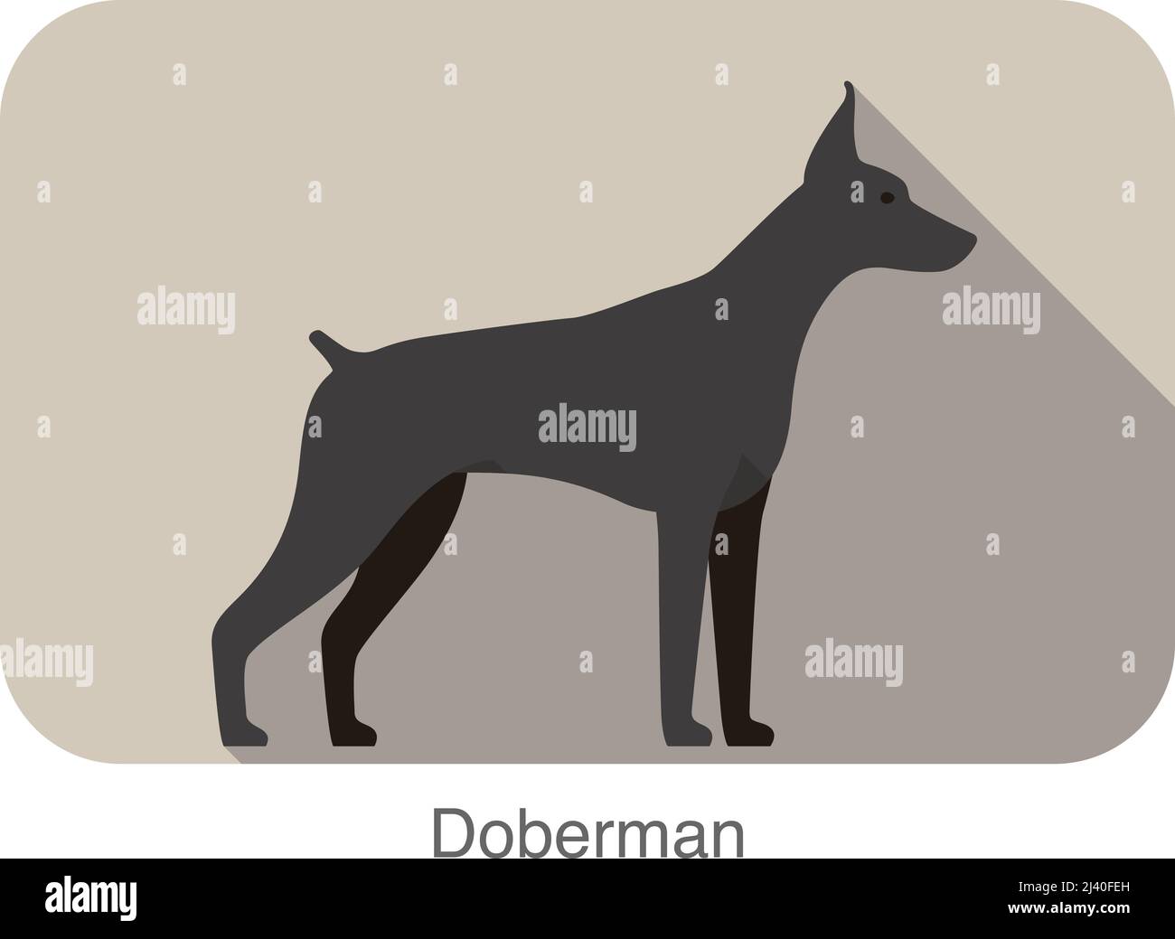 Duberman dog walking flat 3D icon design, vector illustration Stock ...