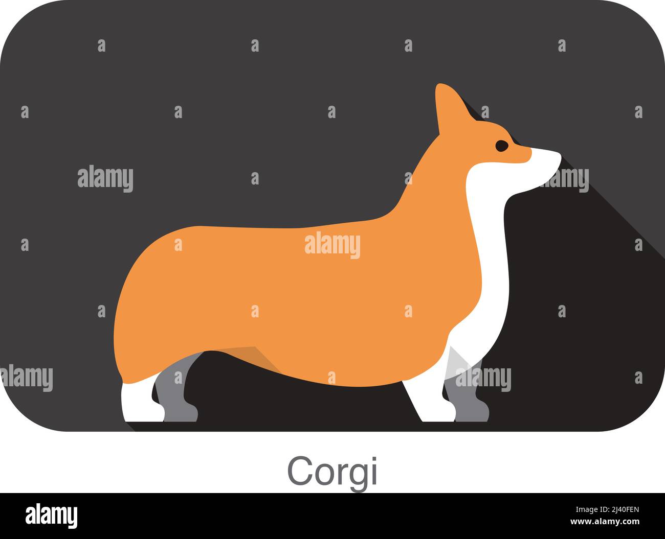 Corgi dog breed flat icon design, vector illustration Stock Vector ...