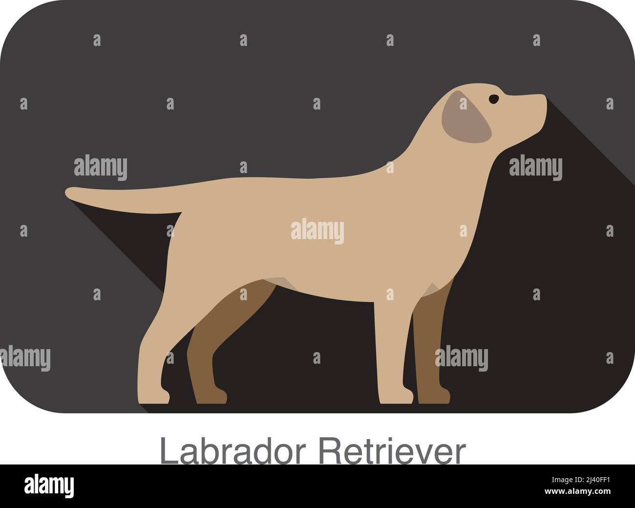 Labrador retriever black side profile Stock Vector Images - Alamy