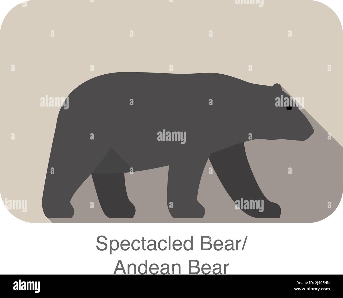 Spectacled bear walking side flat 3D icon design, vector illustration ...
