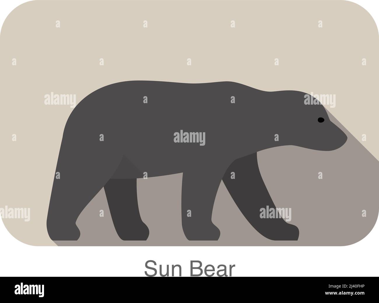 Sun bear walking side flat 3D icon design, vector illustration Stock ...