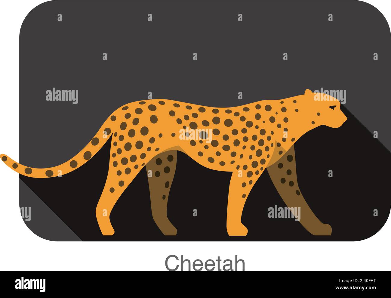 Cheetah walking side flat 3D icon design, vector illustration Stock Vector Image & Art - Alamy