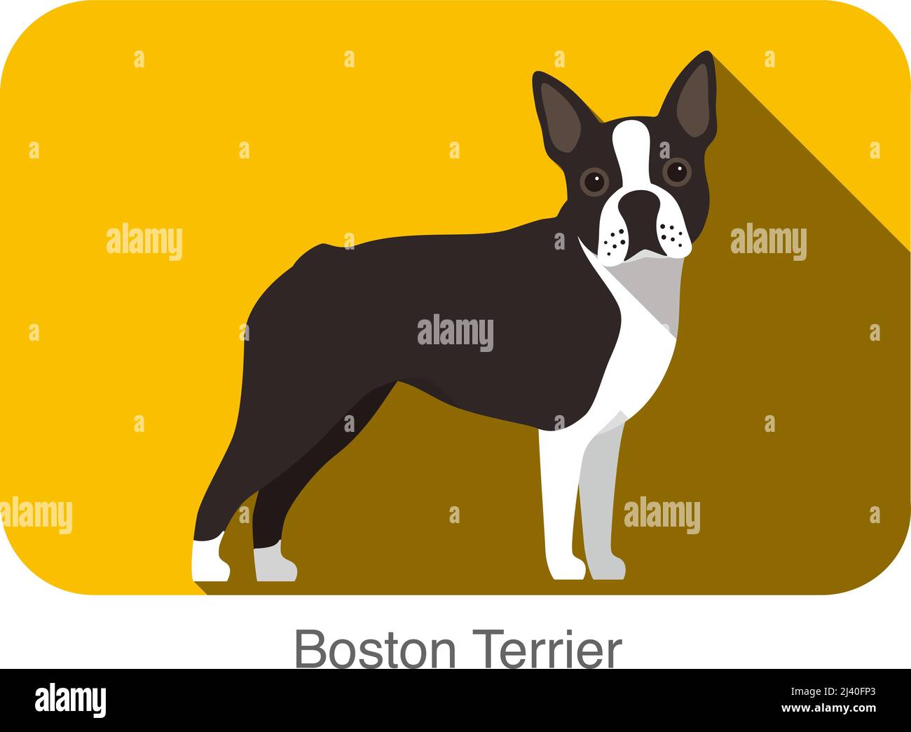 Breed dog standing on the ground, side, face forward, dog cartoon image ...