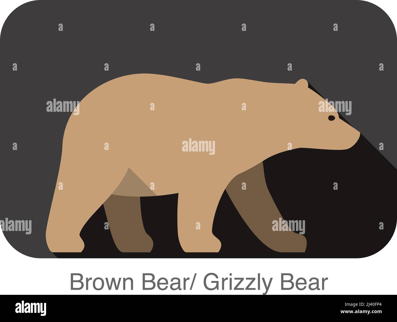 Brown bear walking side flat 3D icon design, vector illustration Stock ...