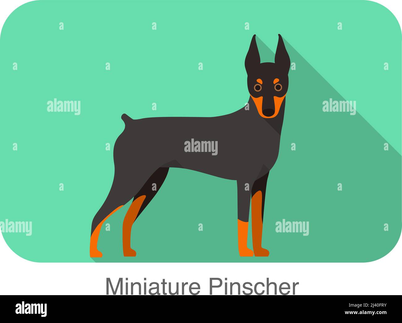 Breed dog standing on the ground, side, face forward, dog cartoon image ...