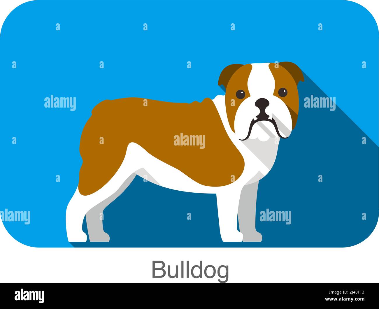 Breed dog standing on the ground, side, face forward, dog cartoon image ...
