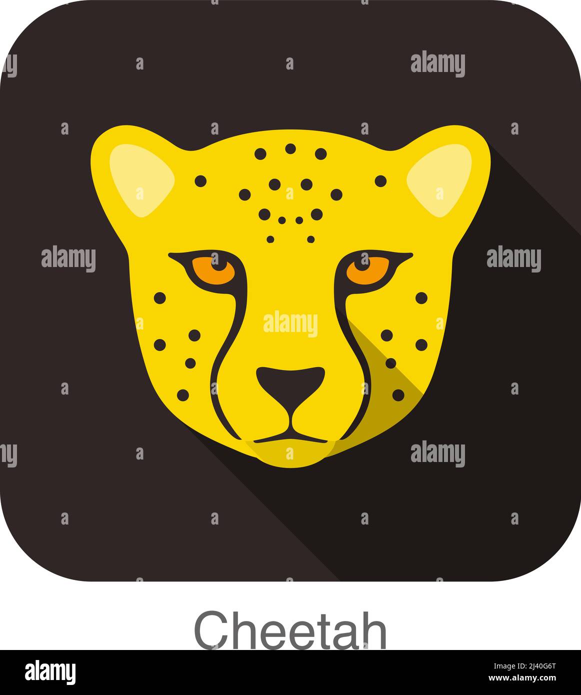 Cheetah, Cat breed face cartoon flat icon design Stock Vector Image & Art - Alamy