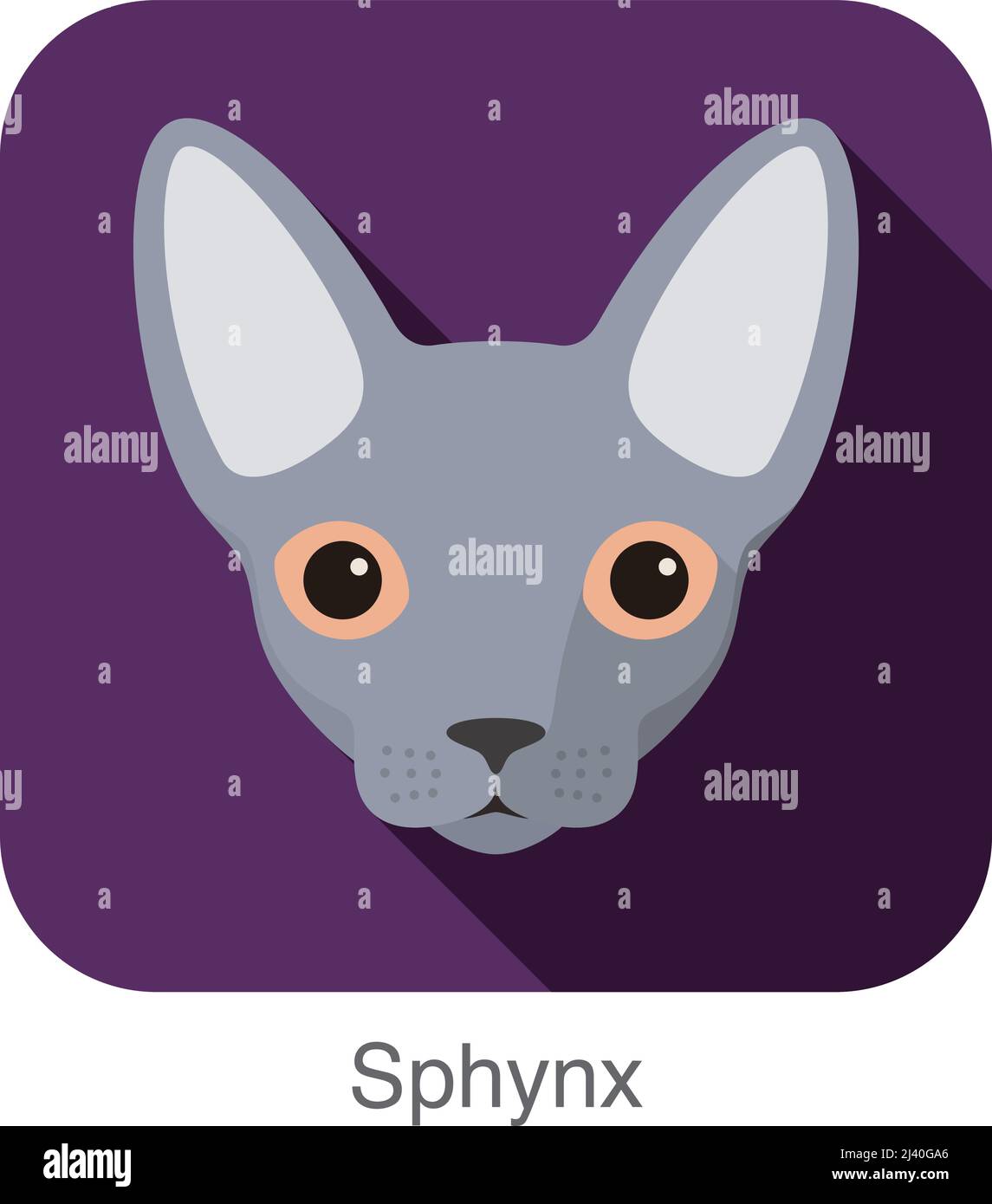 Sphynx cat vector vectors hi-res stock photography and images - Alamy